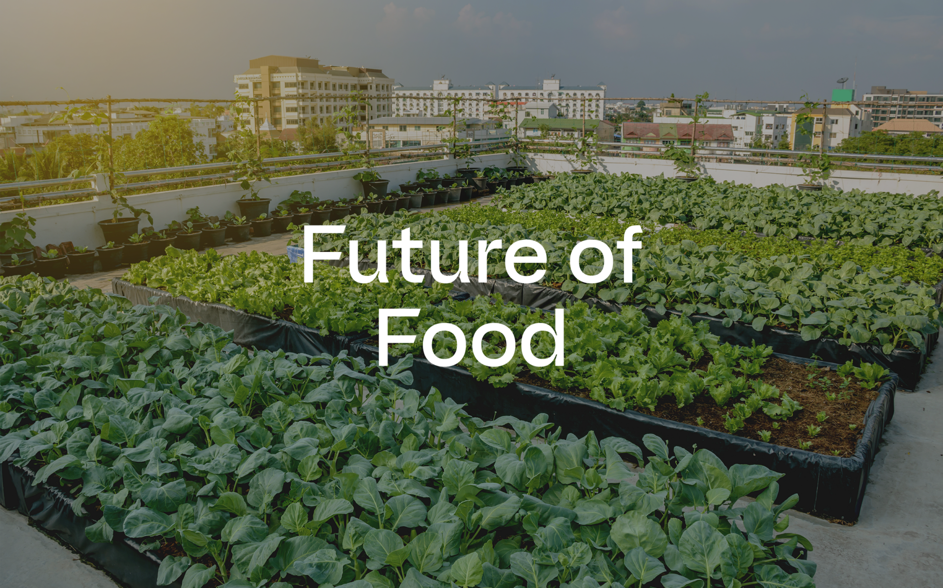Future of Food - Backslash